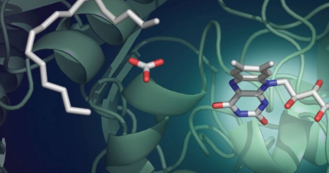 Chimie verte et biocarburants : le fonctionnement d’une photoenzyme ...