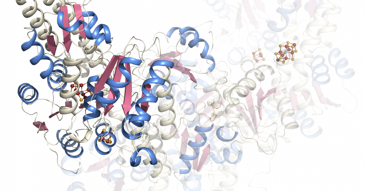 A dynamic molecular structure paves the way for sustainable crops ...