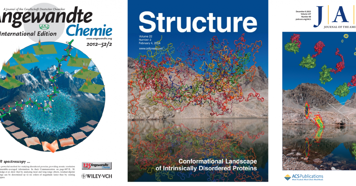 Groupe Flexibilité et Dynamique des Protéines par RMN (Martin ...