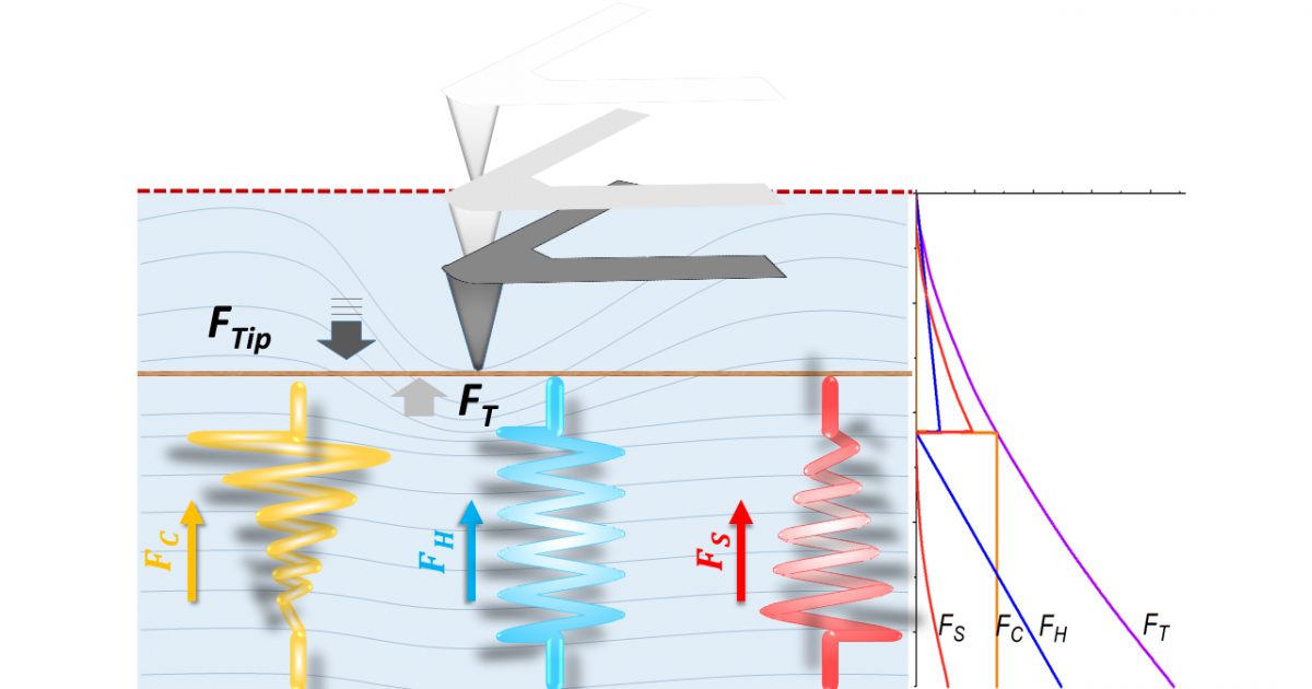 Nanomechanics and plant root growth - IBS - Institut de Biologie ...