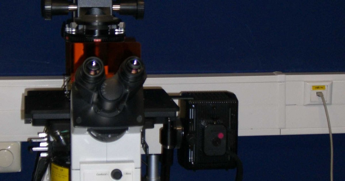 Microscope à force atomique (AFM) - IBS - Institut de Biologie ...