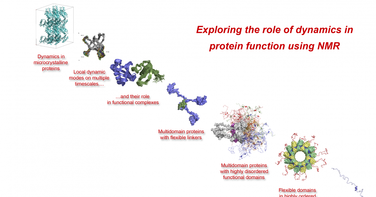Groupe Flexibilité et Dynamique des Protéines par RMN (Martin ...