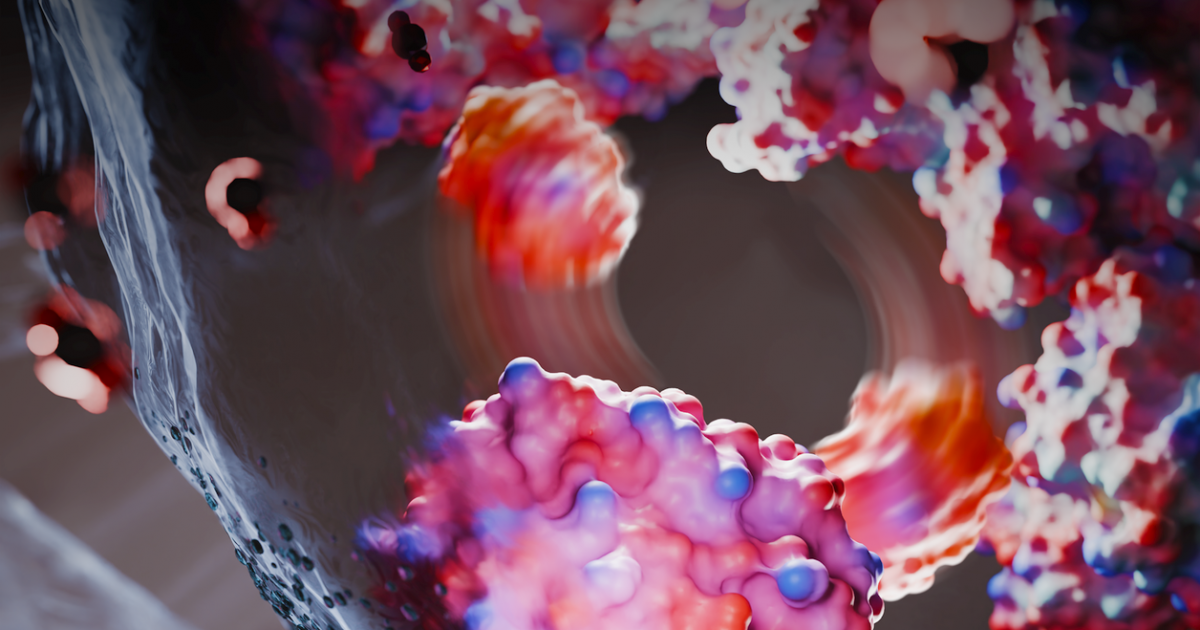 Bioethanol production in an industrial bacterium passes through a ...