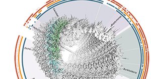 Molecular insights into the bacterial cell wall elongation process ...