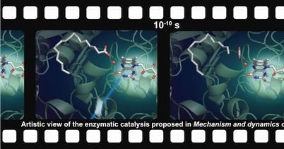 Chimie verte et biocarburants : le fonctionnement d’une photoenzyme ...