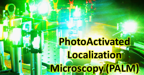 Super-resolution microscopy (PALM) - IBS - Institut de Biologie ...