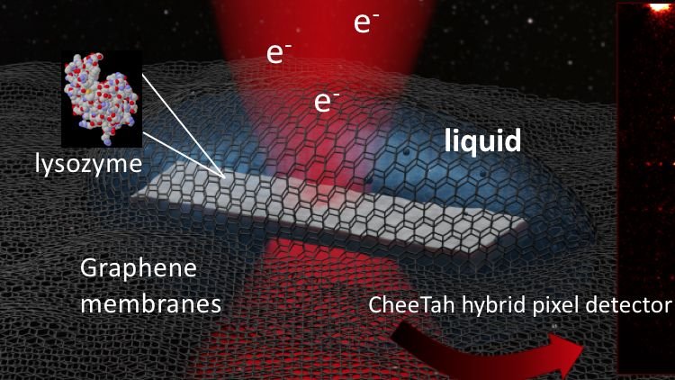 IBS - Institut de Biologie Structurale - Grenoble / France