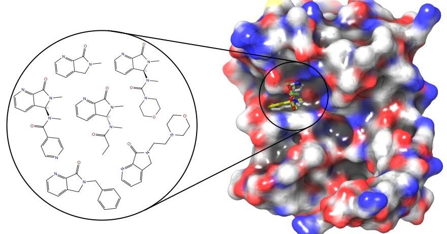Fragment Discovery by X-Ray Crystallographic Screening Targeting the ...